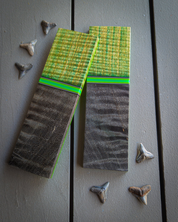 Alien Invasion – Flying Shark Supplies